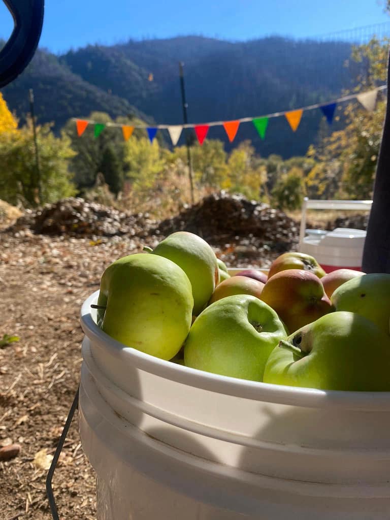 Dawn Institute | Indian Valley Chamber of Commerce